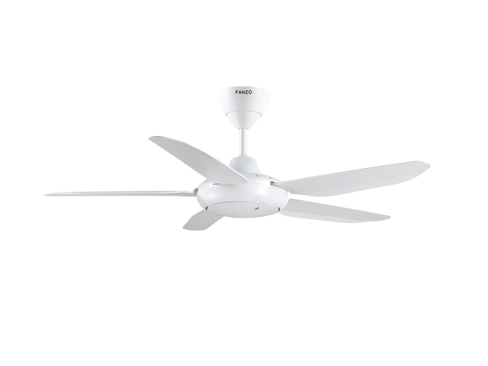 GALAXY BABY – FANZÓ