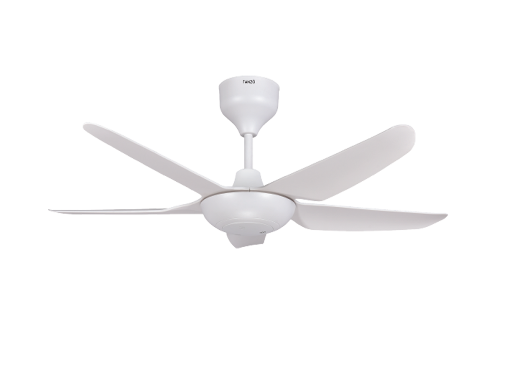 FANZÓ – Where Premium Is Found